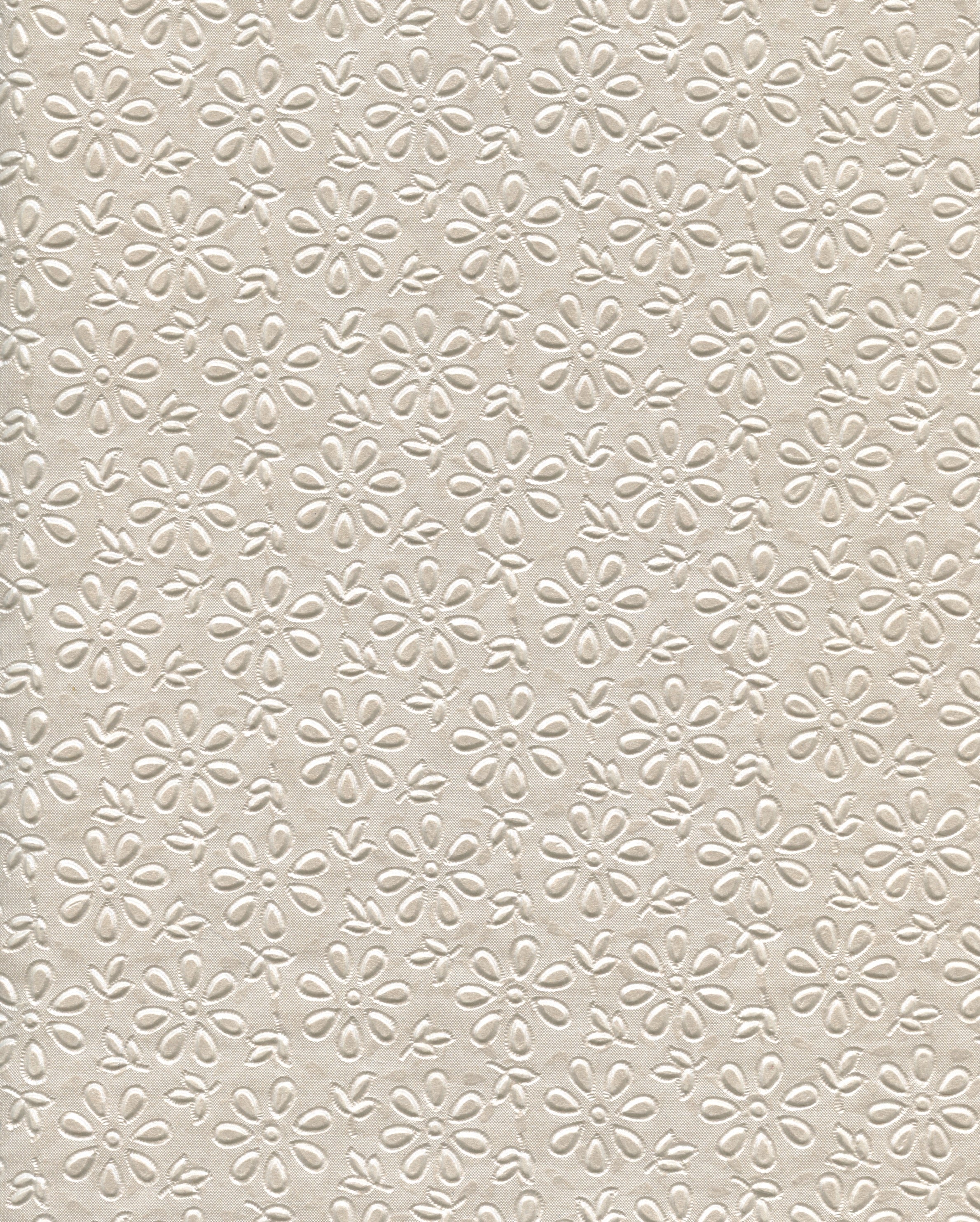 Specialty Paper 1 x A4 Embossed Daisy - Pearl – The Crafty Bear Shop