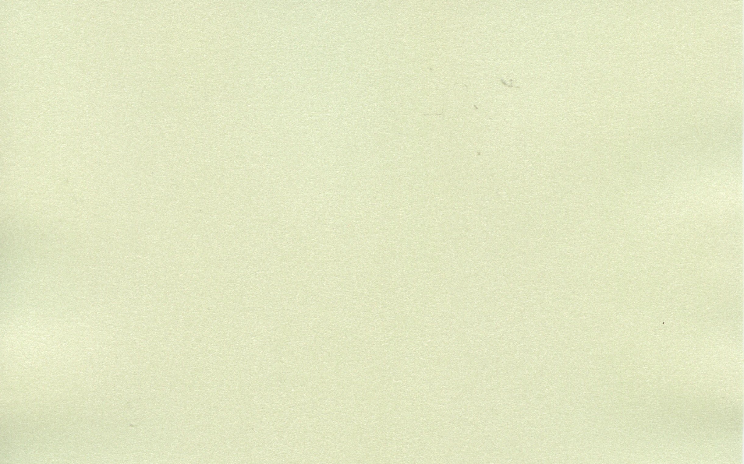 Specialty Card - A4 Pearl Card - Mint - 2 Sheets – The Crafty Bear Shop