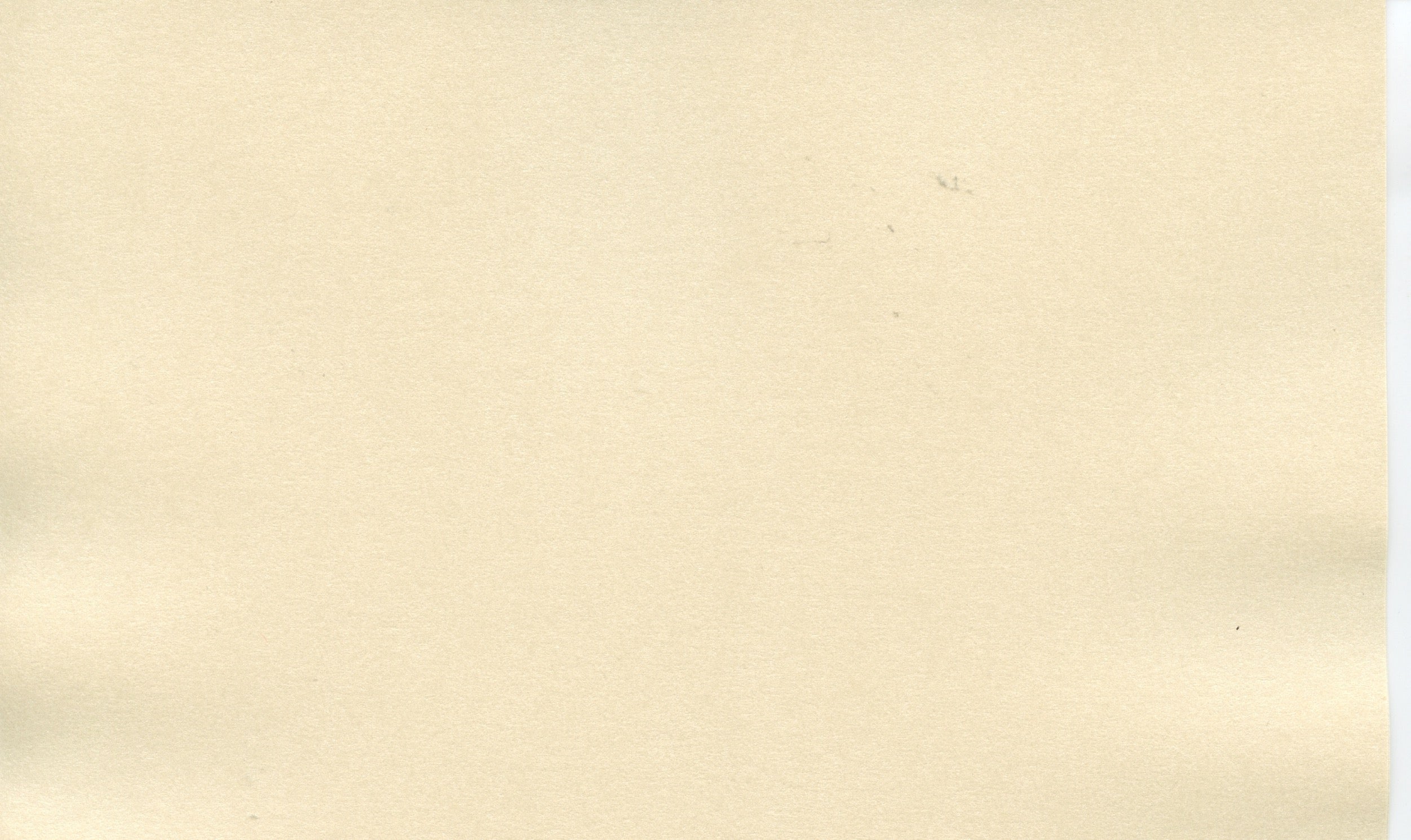 Specialty Paper - A4 Pearl Paper - Cream - 2 Sheets – The Crafty Bear Shop