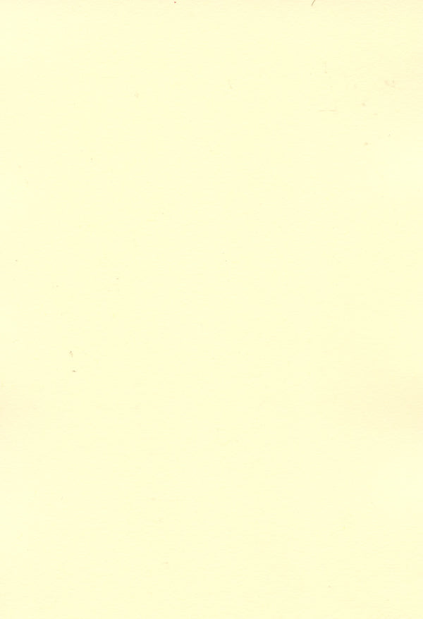 Specialty Card - A4 Pearl Card - Cream - 2 Sheets – The Crafty Bear Shop