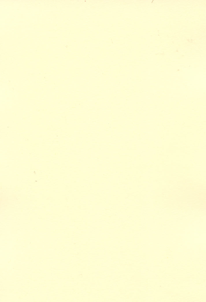 Specialty Card - A4 Pearl Card - Cream - 2 Sheets – The Crafty Bear Shop