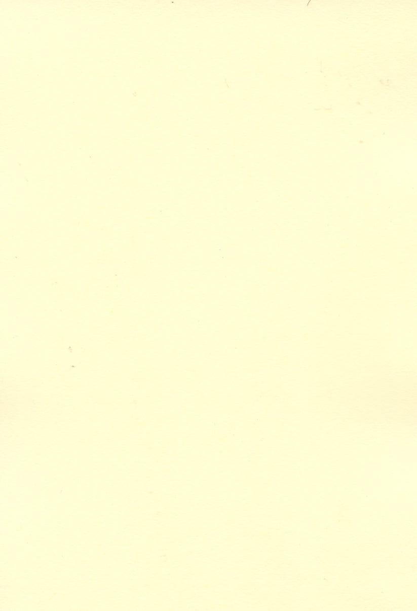 Specialty Card - A4 Pearl Card - Cream - 2 Sheets – The Crafty Bear Shop