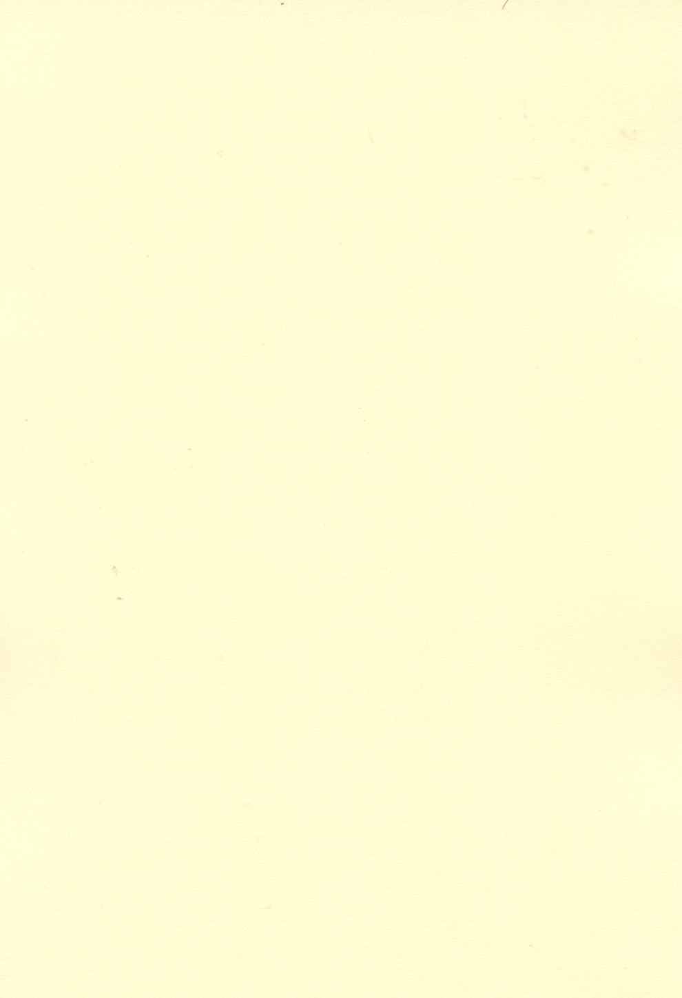Specialty Card - A4 Pearl Card - Cream - 2 Sheets – The Crafty Bear Shop